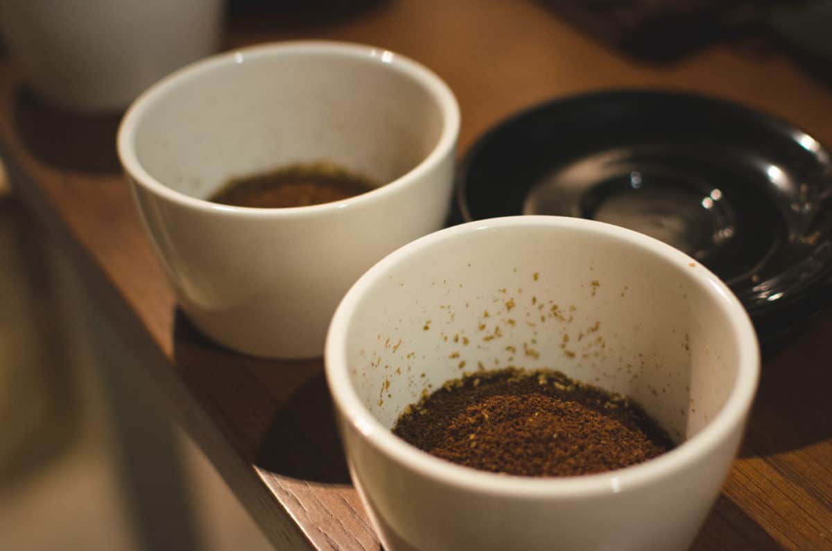 Coffee & Water: Educational Cupping in Olomouc