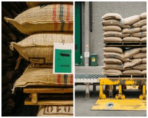 Insights from The World’s Largest Coffee Port - European Coffee Trip