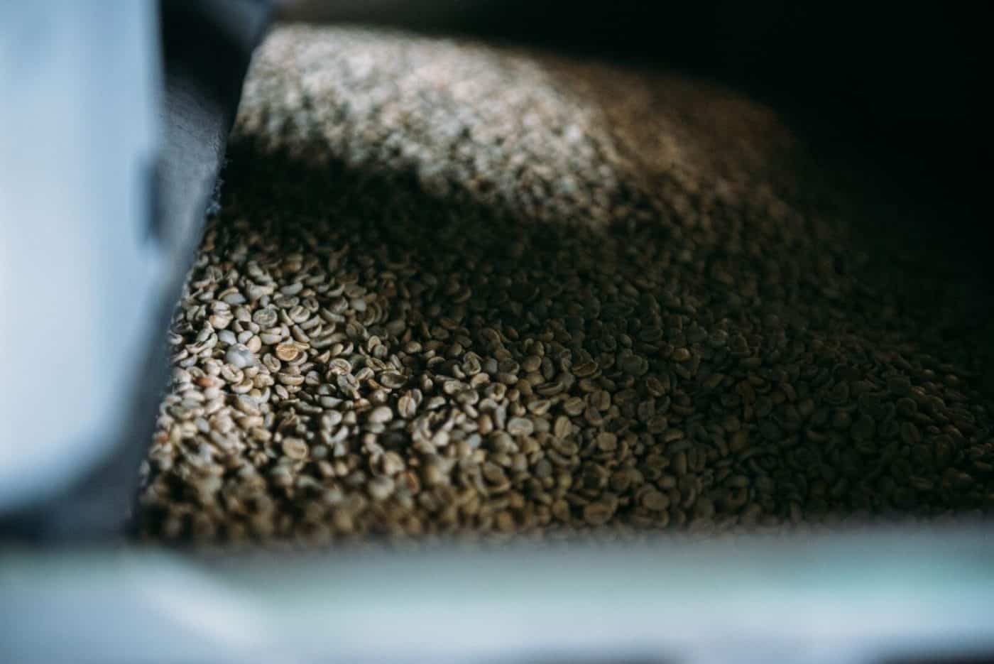 Insights from The World’s Largest Coffee Port - European Coffee Trip
