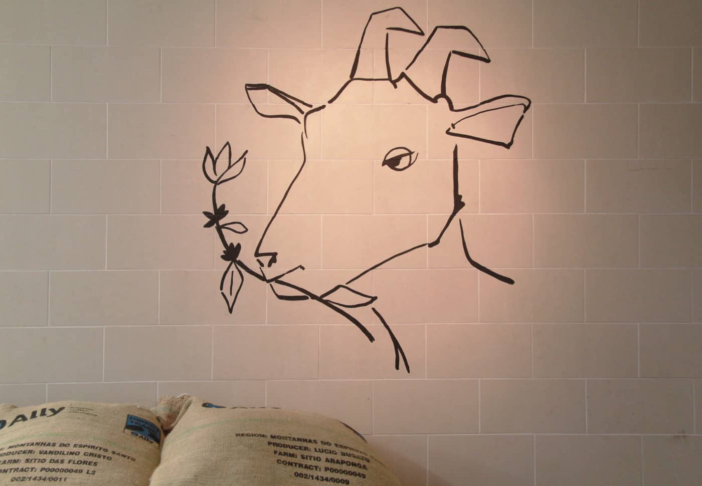 Impressive Coffee Offerings in Aarhus, Denmark