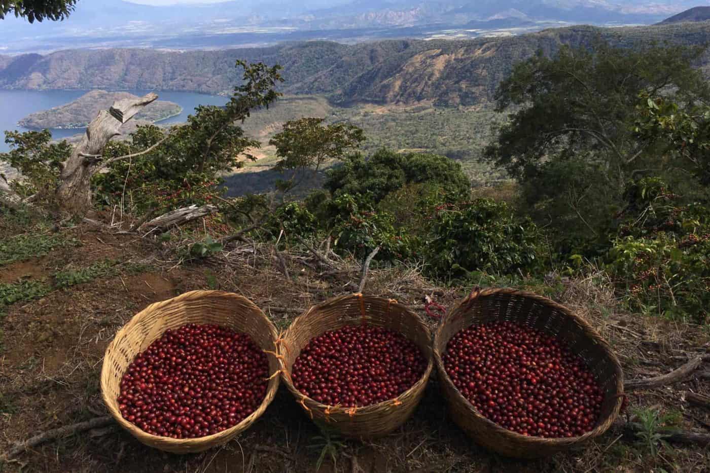 Ukrainian Coffee Culture Is Booming, And Here Is Why - European Coffee Trip