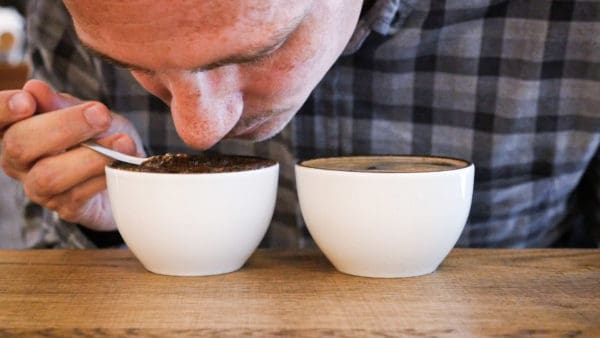 The Art and Science of Roasting: Bitterness - European Coffee Trip