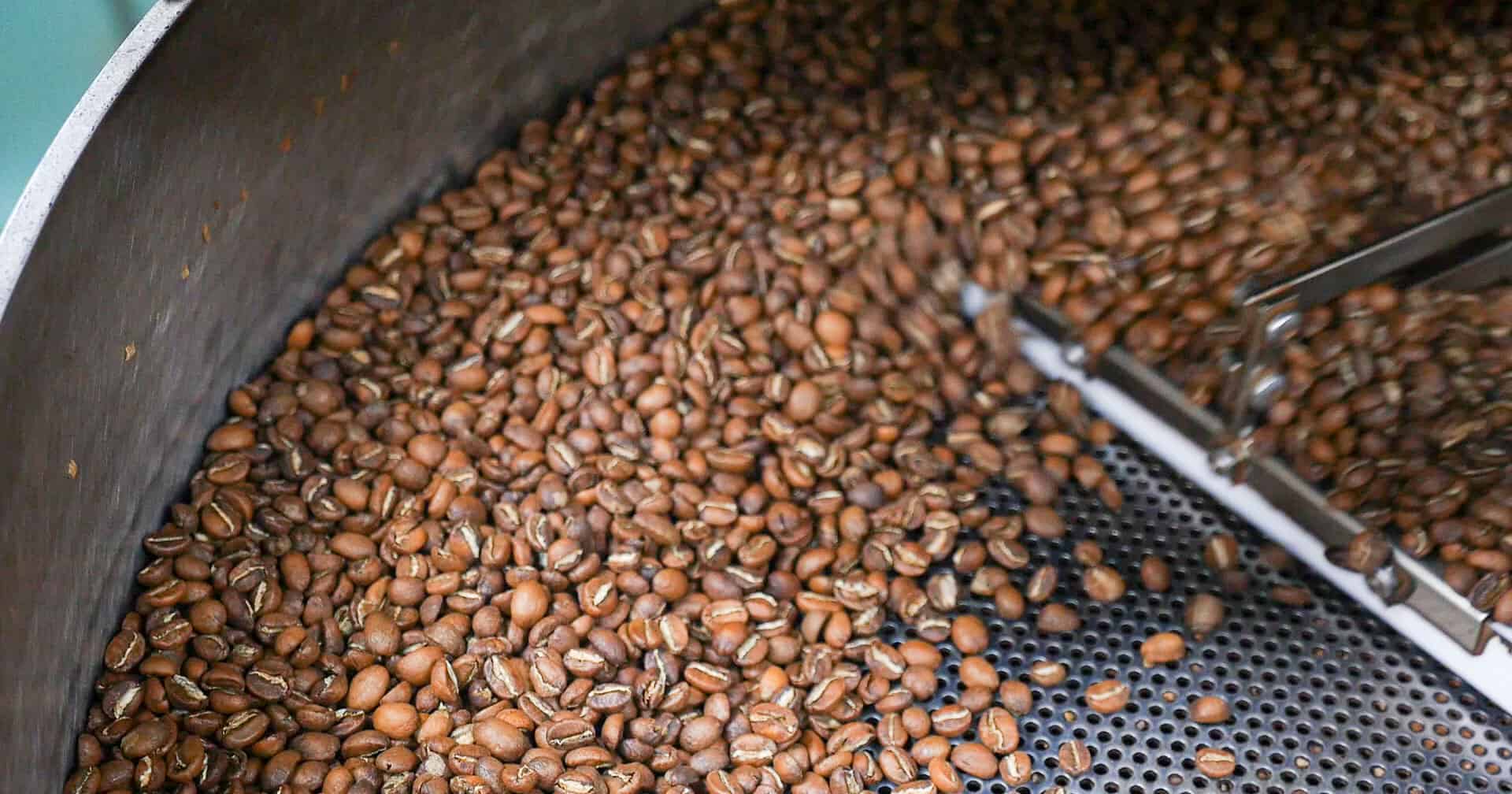 The Art and Science of Roasting: Bitterness - European Coffee Trip
