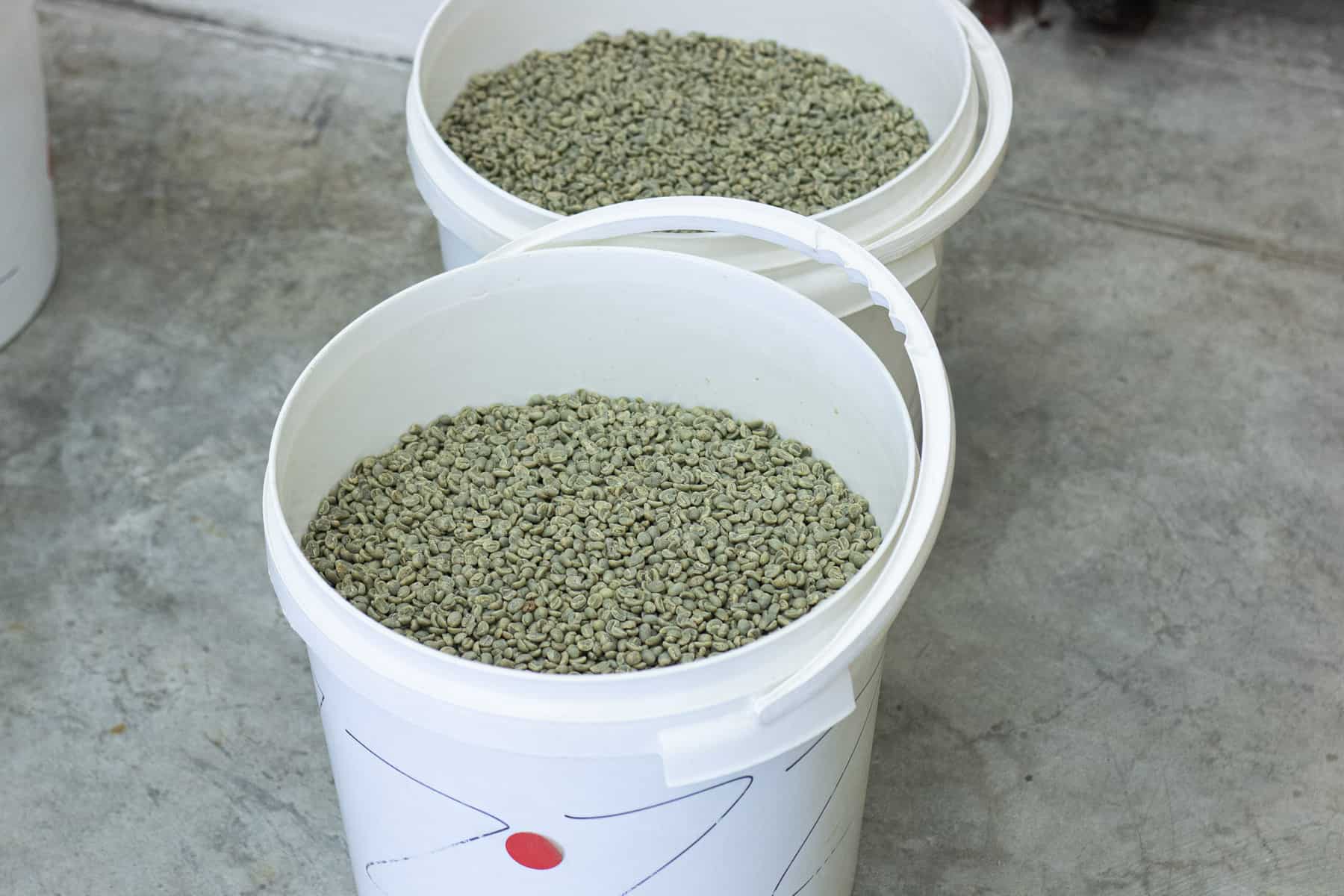 Candycane Coffee: A Coffee Journey, Made Even Sweeter