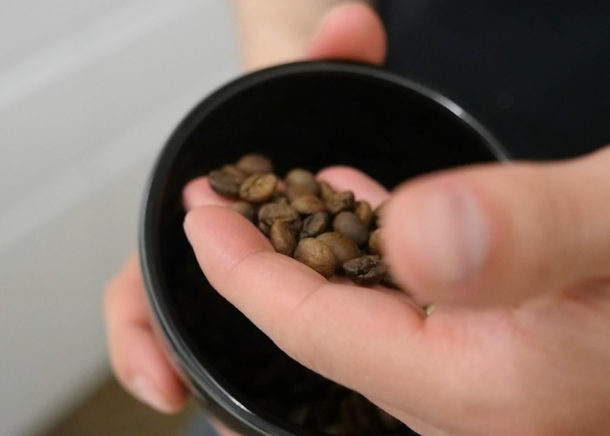 Insights from The World’s Largest Coffee Port - European Coffee Trip