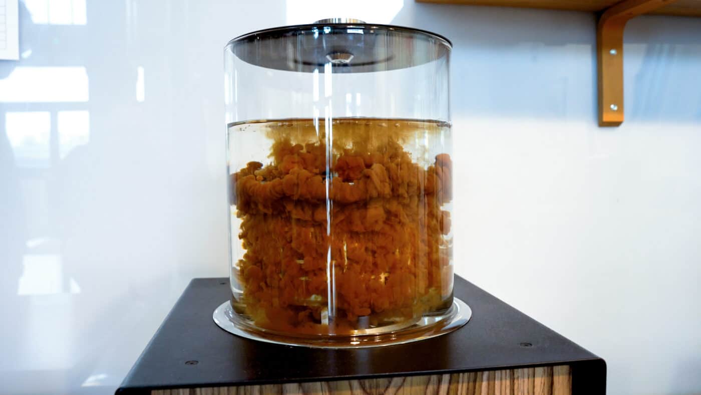 What is the Future of Cold Brew Coffee? - European Coffee Trip