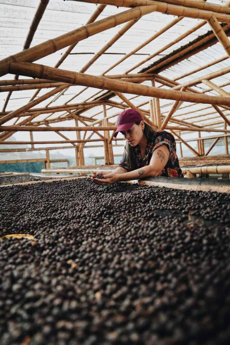 Barista Stories: Dara Santana Hernández, DartCaffeine, Madrid ...