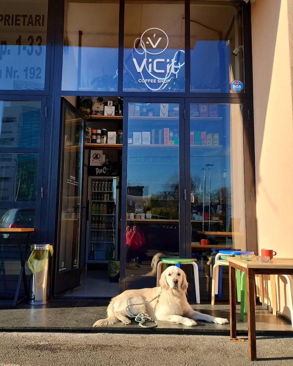 Vicii Coffee Shop - Bucharest, Romania | European Coffee Trip