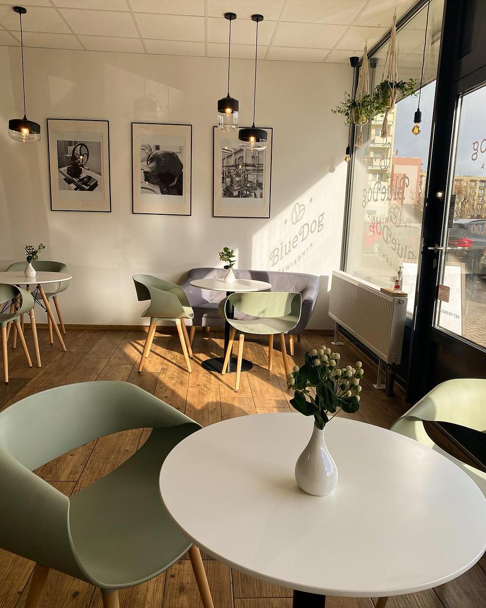 Blue Dog Cafe - Gliwice, Poland | European Coffee Trip